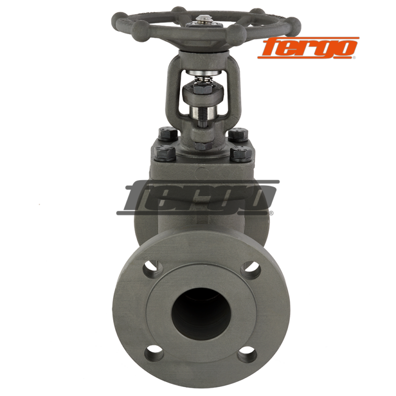 Gate Valve 4B | Small Size DN15-DN50 | FERGO