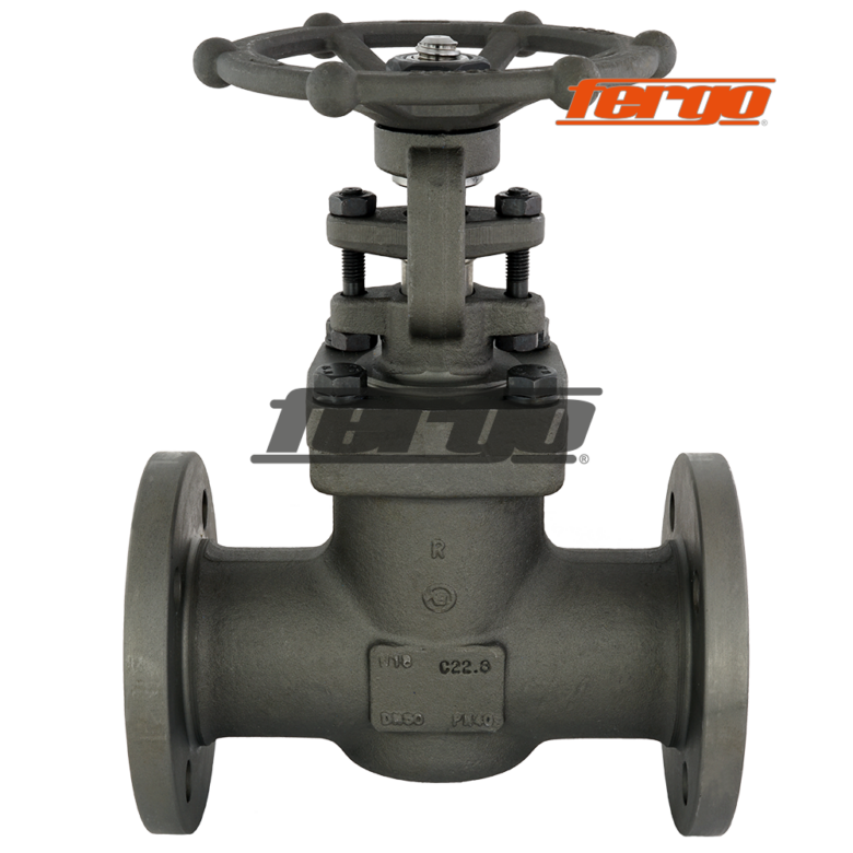 Gate Valve 4B | Small Size DN15-DN50 | FERGO