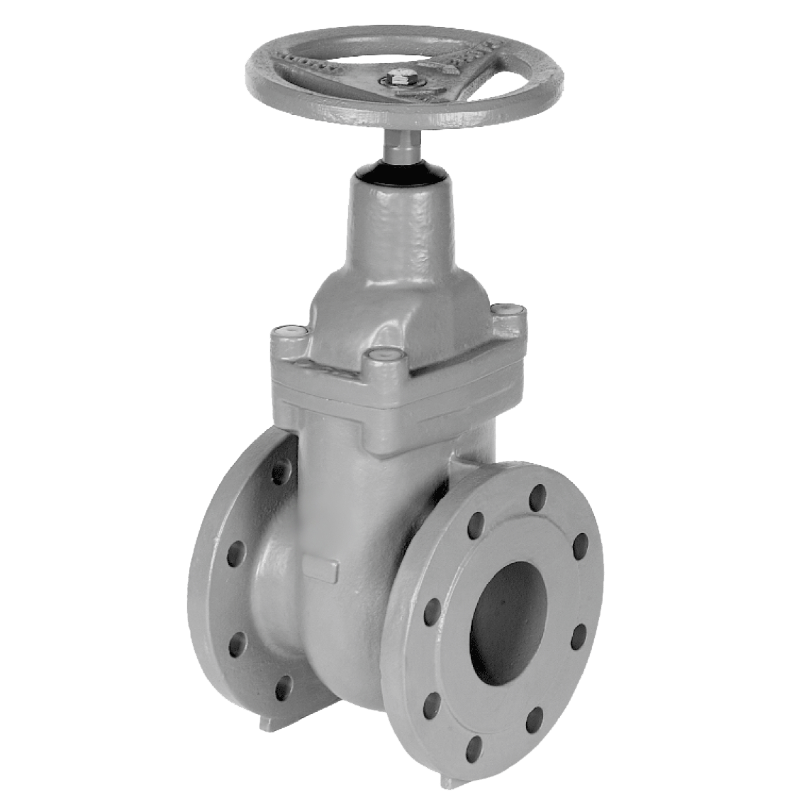 Gate Valves - FERGO Armaturen GmbH