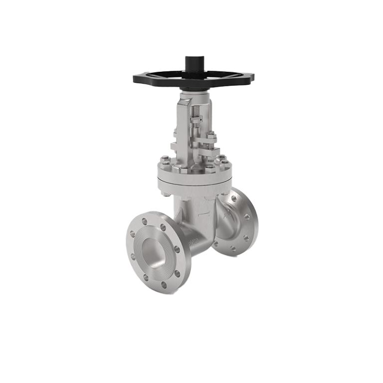 Bellow seal valve in stainless steel: FERGO Online Shop